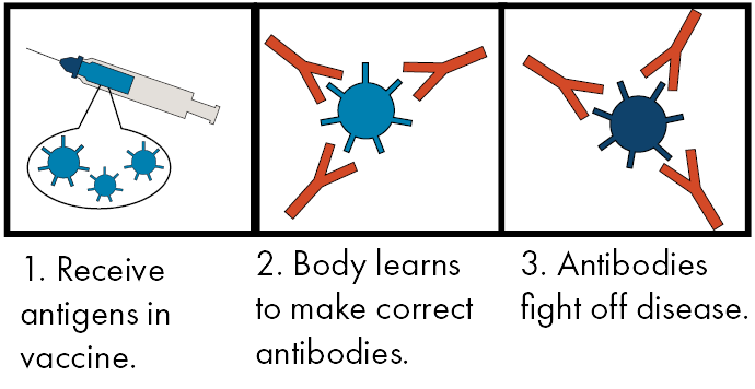 Immunization Resources for Patients | Health and Human Services North Dakota